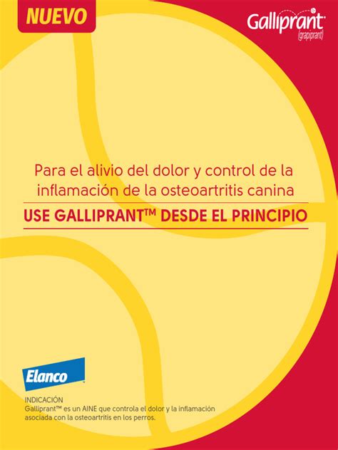 Folleto Veterinario Galliprant Final Chile Pdf Dolor Osteoartritis
