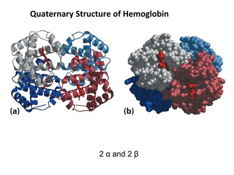 Ppt Chapter 4 Powerpoint Presentation Free Download Id 4741208