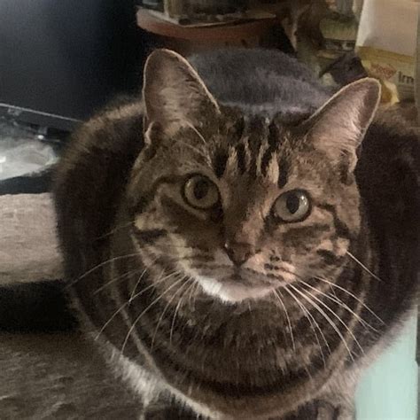 Default Pattern Rnotinteresting