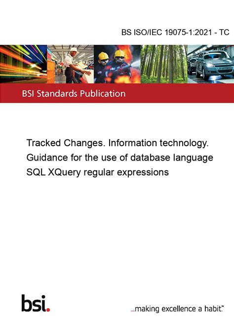 BS ISO IEC TC Tracked Changes Information Technology Guidance For The Use Of