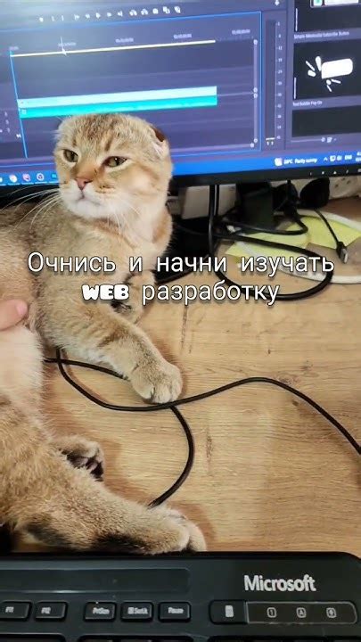 Заходи и учись веб разработке бесплатно С примерами и картинками Html