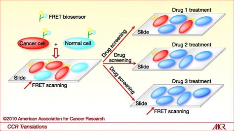 Content 16 15 3822 F1 Large 