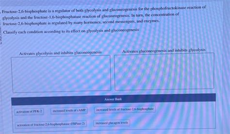 Solved Fructose 2 6 Bisphosphate Is A Regulator Of Both