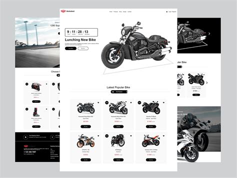 build responsive wordpress website using elementor behance
