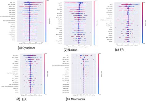 Shap Analysis For Top 10 Features For Different Sucellular Locations