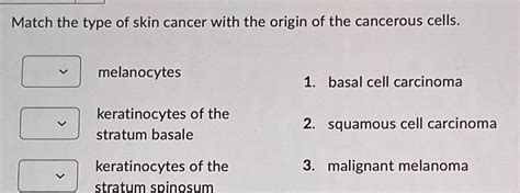 [answered] Match The Type Of Skin Cancer With The Origin Of The Kunduz