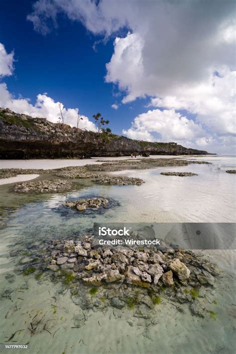 바다의 얕은 물에 위치한 바위 섬의 아름답고 고요한 이미지 0명에 대한 스톡 사진 및 기타 이미지 0명 경관 금색 Istock