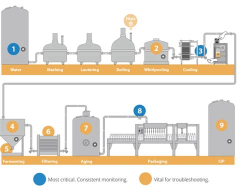 Beer Contamination Beer Quality Control Qualitru