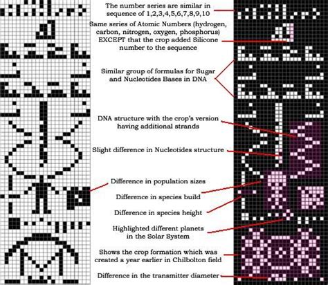 a message about human species and an answer in a crop circle about