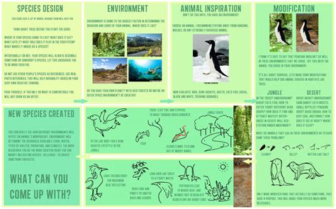 Guide To Species Design Updated By Rice Chex On Deviantart
