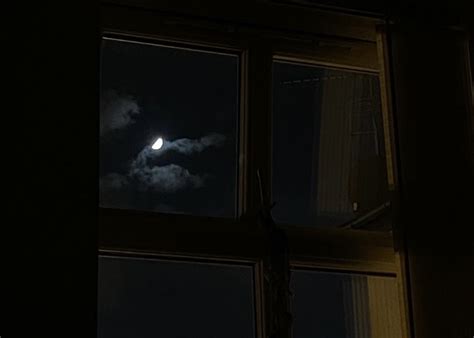 The Natural Comfort Of Mom And Dad The New Dealer