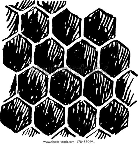 Typical Representation Honeycomb Structure Hexagonal Cells Stock Vector
