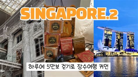 🇸🇬 6월 싱가포르 3박5일 혼자여행 Ep 2 하루에 5만보 걷기 싱가포르 국립 미술관 아시아 문명 박물관 리버크루즈 바샤커피 언박싱 And 크로와상 먹방
