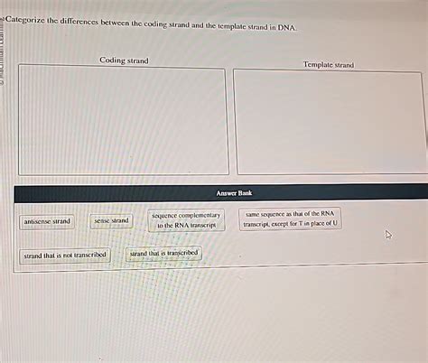 Solved Categorize The Differences Between The Coding Strand