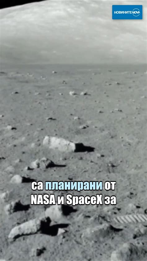 Овчар висшист отглежда елитни овце в бургаското село Оризаре Гордостта на стадото е Минка