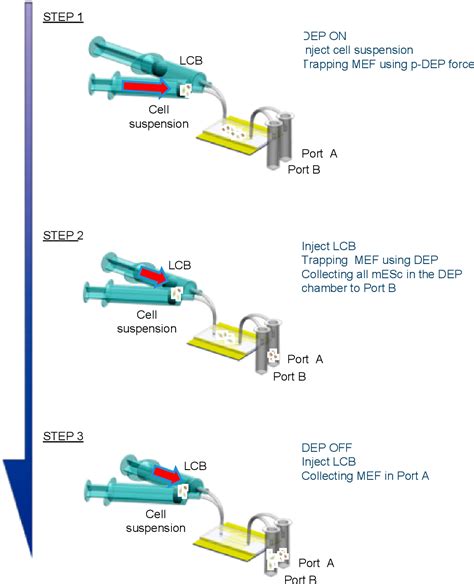 Figure 3 From Continuous Esfeeder Cell Sorting Device Using