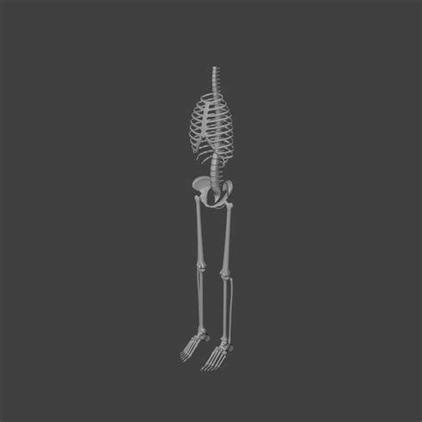 A New Generation Of My Animatable Human Rig Starts Page Works In Progress Blender