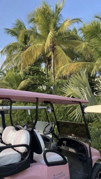 First Class Wife On Tumblr