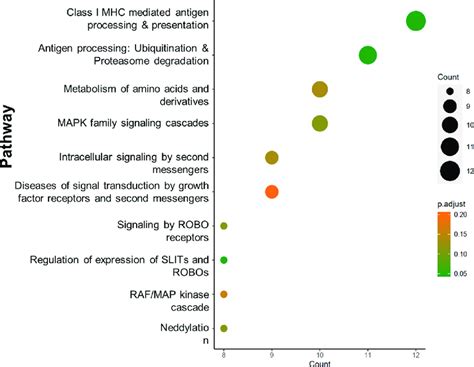 Pathway Analysis Reactome Pathway Analysis Was Performed Using The Top Download Scientific