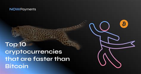 Top 10 Cryptos That Are Faster Than Bitcoin Nowpayments