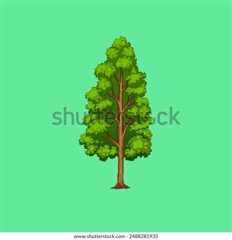 Tree Vector Art Icons Graphics Illustrations Stock Vector Royalty Free 2488281935 Shutterstock