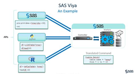 the new languages of sas 9 4 and sas viya a sas programmer s primer