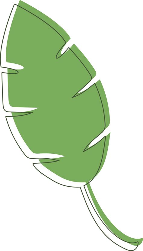 Tropical Leaf Shape 21187610 Vector Art At Vecteezy