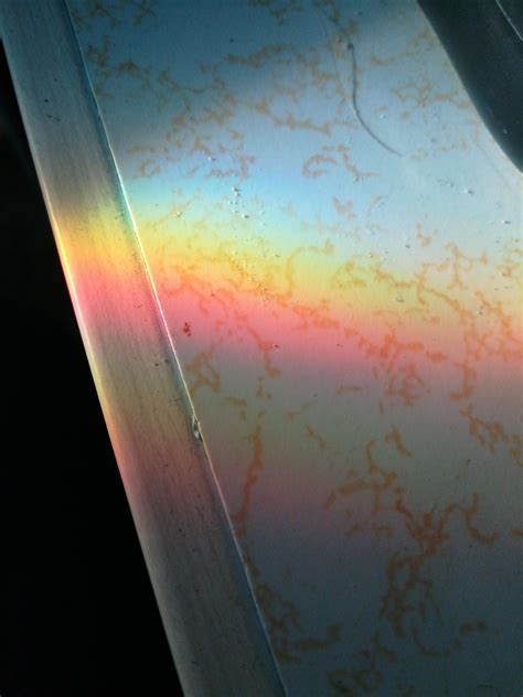 I Saw This Cool Light Comming From My Tank Today Raquariums
