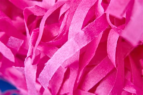 분홍색과 마젠타 파쇄 종이의 클로즈업 핑크 컷 종이 매크로 0명에 대한 스톡 사진 및 기타 이미지 0명 갈기갈기 찢어진 꽃 식물 Istock