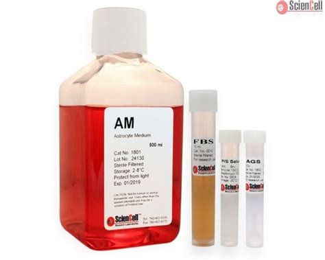 Astrocyte Medium Am In Stock