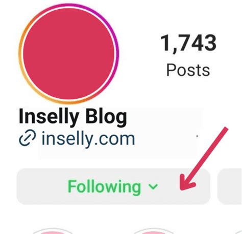 What Does the "Green Following Button" Mean on Instagram?