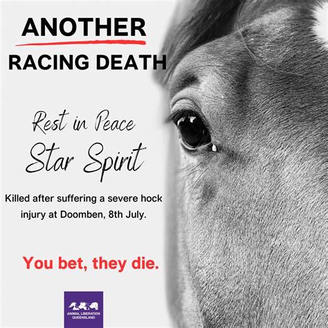 Jennifer Oosterhoff Posted On Linkedin