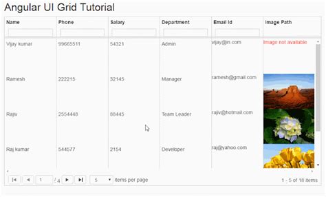 Sorting Filter And Pagination With Angular UI Grid In MVC Application ASPMANTRA Asp Net MVC