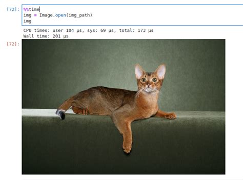 Bug `pilimage` Is 700 Faster Than `fastdupimread` · Issue 286 · Visual Layerfastdup
