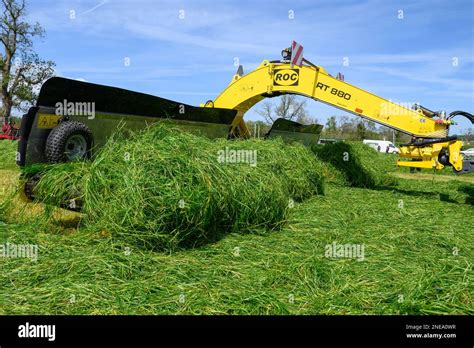 Rowing Up Grass With A Roc Rt880 Sward Merger Which Puts Grass Into Rows For A Baler Or Forager