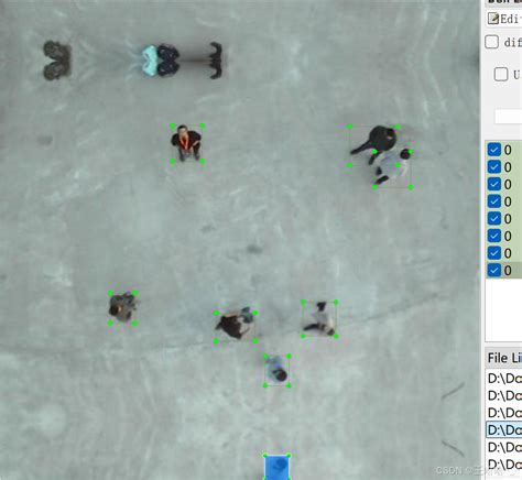 【数据集】【yolo】【目标检测】航拍行人识别数据集 8328 张，yolo无人机行人识别算法实战训练教程，yolo人员识别。无人机目标检测数据集 Csdn博客