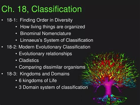 Ppt Ch 18 Classification Powerpoint Presentation Free Download