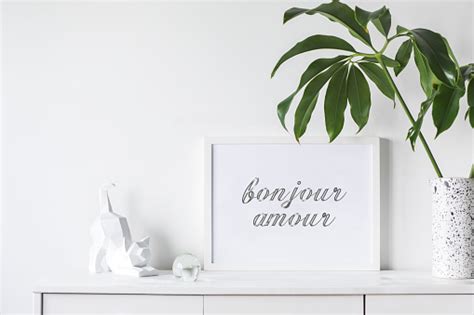 세련 되 고 현대적인 흰색 인테리어 모의 프레임 선인장과 고양이 숫자를 함께 찬 장 선반 화이트 개념입니다 0명에 대한 스톡 사진 및 기타 이미지 Istock