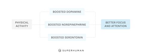 How To Improve Concentration