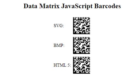 JavaScript Data Matrix Barcode Generator