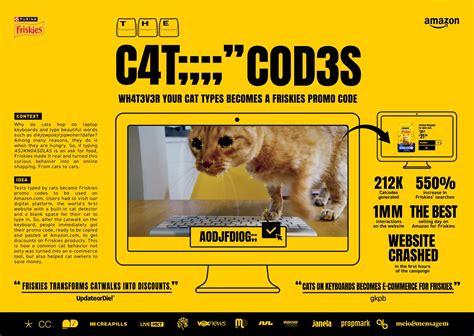 The Cat Codes Campaign The Work