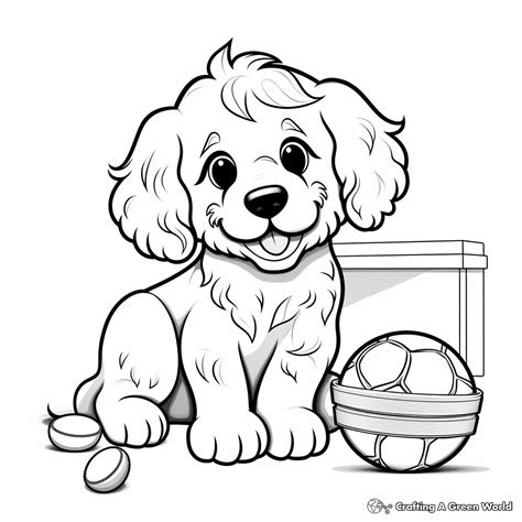 Cockapoo Coloring Pages Free And Printable