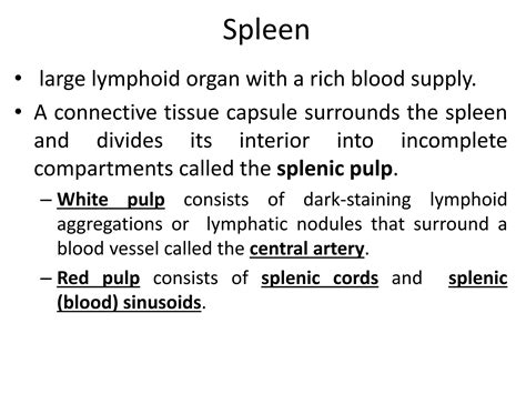 Histology Of Lymphatic System Pdf Ear Nose And Throat Conditions