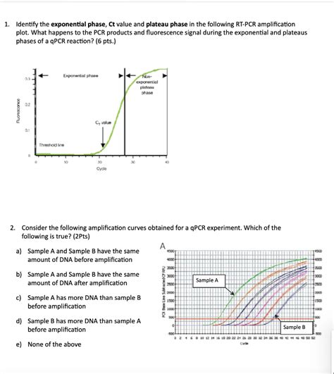 1 Identify The Exponential Phase Ct Value And