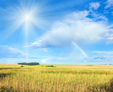Premium Photo Rainbow Sunshine And Summer Field