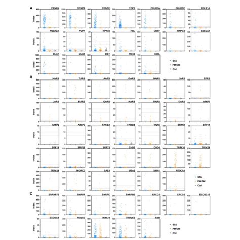 Autoantibody Detection In Human Serum Samples Serum Samples Were Download Scientific Diagram