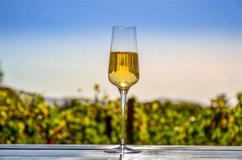 Bianco Colli Euganei Beerland It