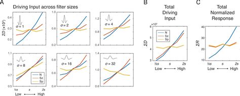 A Visual Sense Of Number Emerges From Divisive Normalization In A Simple Center Surround