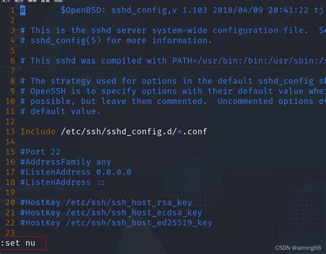 【kali技巧】kali配置ssh服务 kali重置ssh csdn博客