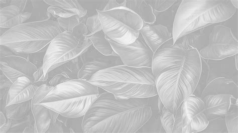 열대 녹지의 질감을 탐구하는 무성한 나뭇잎 과일 정원 음식 나무 숲의 질감 Png 일러스트 및 이미지 에 대한 무료 다운로드 Pngtree